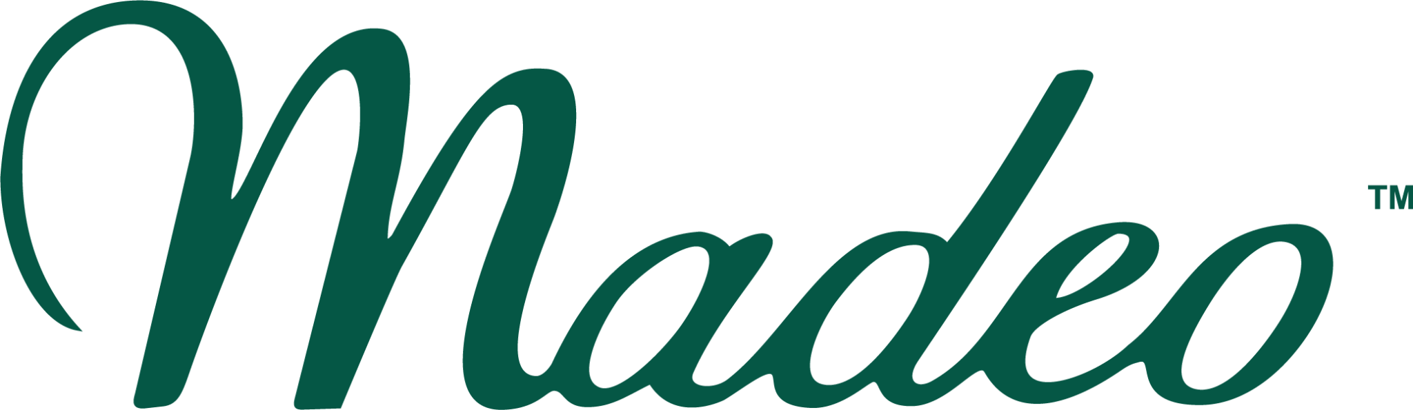 Luxurious Fine Dining Restaurants at Jeddah Yacht Club | Cool Inc